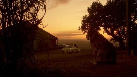 Horror Movie Review: Cujo (1983) - GAMES, BRRRAAAINS & A HEAD-BANGING LIFE
