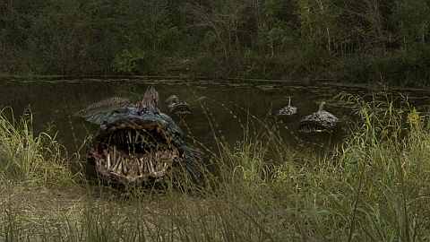 Horror Movie Review: SnakeHead Swamp (2014) - GAMES, BRRRAAAINS & A ...
