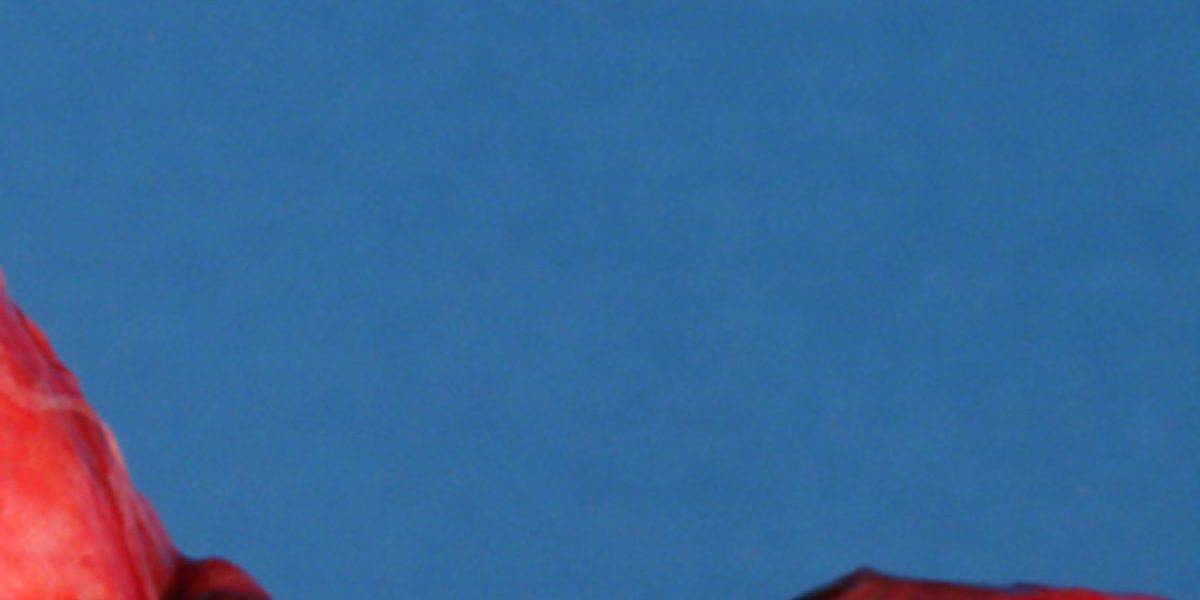 EP Review: Soft Issues - Soft Issues (Self Released) - GAMES ...