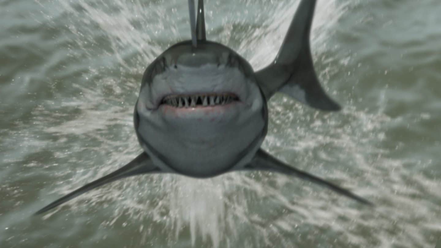 Horror Movie Review: Zombie Shark (2015) - GAMES, BRRRAAAINS & A HEAD ...