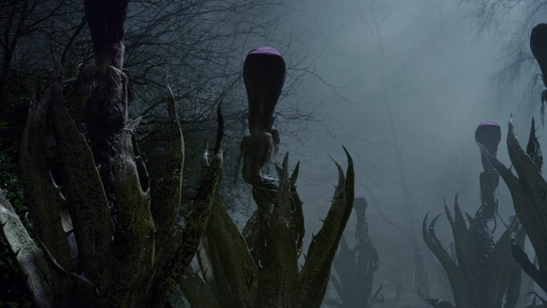 TV Series Review: The Day of the Triffids (2009) - GAMES, BRRRAAAINS ...