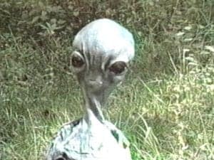 Horror Movie Review: Feeders (1996) - GAMES, BRRRAAAINS & A HEAD ...