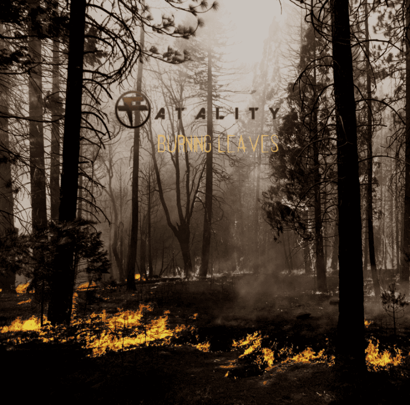 Band Interview - Fatality (Metal 2 the Masses Essex 2019) - GAMES ...