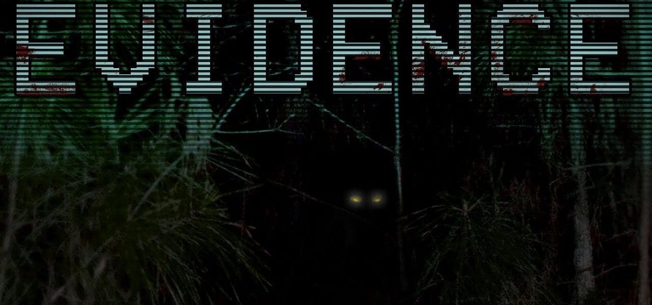 Horror Movie Review: Evidence (2012) - GAMES, BRRRAAAINS & A HEAD ...