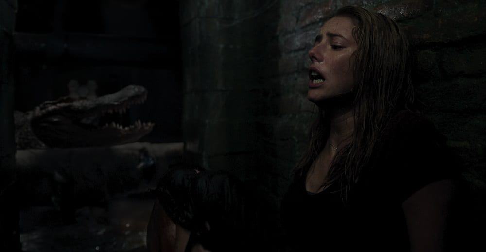 Horror Movie Review: Crawl (2019) - GAMES, BRRRAAAINS & A HEAD-BANGING LIFE