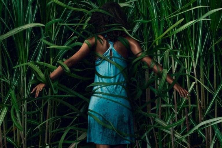 Horror Movie Review - In the Tall Grass (2019) - GAMES, BRRRAAAINS & A ...