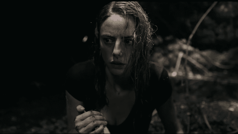 Horror Movie Review: Crawl (2019) - GAMES, BRRRAAAINS & A HEAD-BANGING LIFE