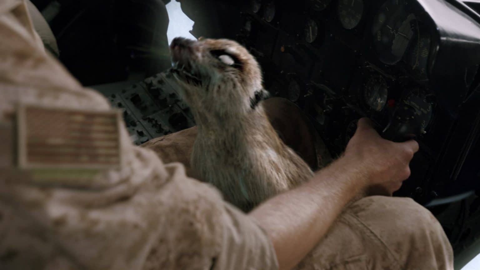 Horror Movie Review: Zoombies 2 (2019) - GAMES, BRRRAAAINS & A HEAD ...