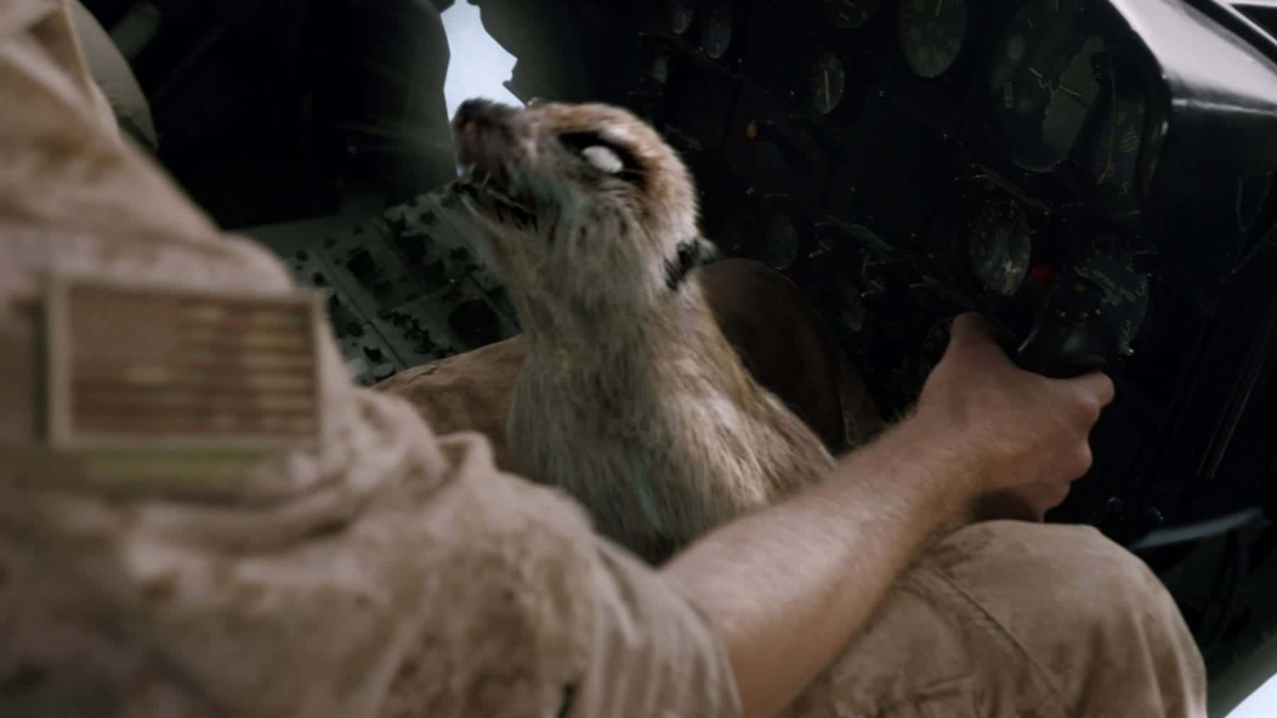 Horror Movie Review: Zoombies 2 (2019) - GAMES, BRRRAAAINS & A HEAD ...