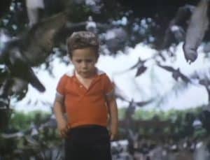 Horror Movie Review: Beaks: The Movie (1987) - GAMES, BRRRAAAINS & A ...