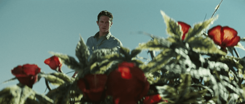 Horror Movie Review: The Ruins (2000) - GAMES, BRRRAAAINS & A HEAD ...