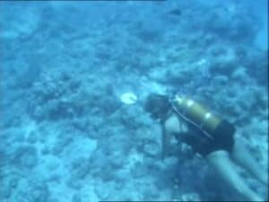 Horror Movie Review: The Evil Below (1989) - GAMES, BRRRAAAINS & A HEAD ...