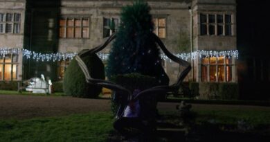 Horror Movie Review: The Killing Tree (2022) - GAMES, BRRRAAAINS & A ...