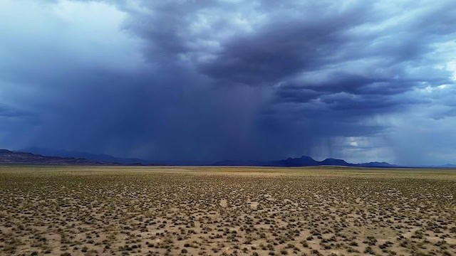 Horror Movie Review: Horror in the High Desert 4: Majesty (2025 ...